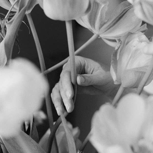 The Promise of Flowers – Monos